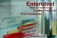 Enterotest Individual – Brizuela-Lab.